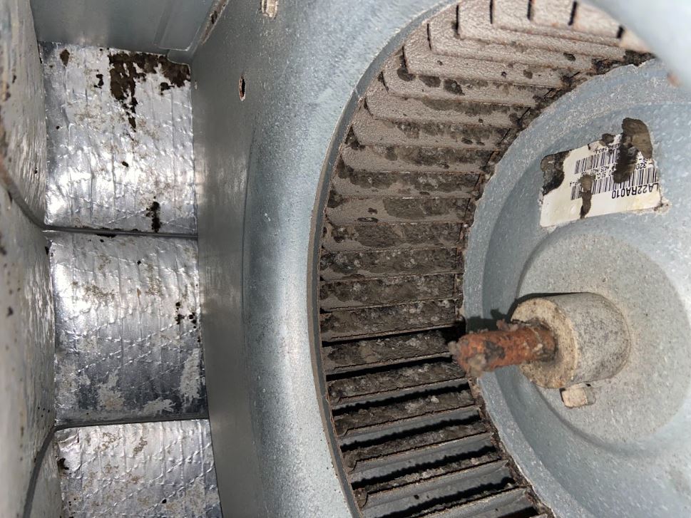 HVAC Repair - Best Tex AC